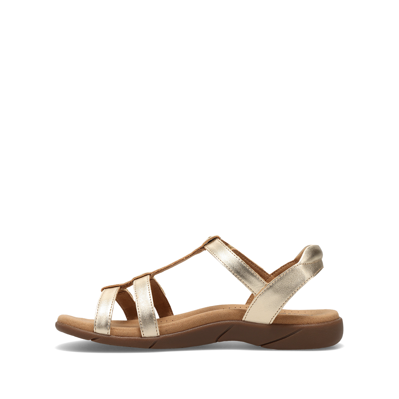 Women's Trophy 2 Supportive Sandals | Taos Official Online Store + FREE ...